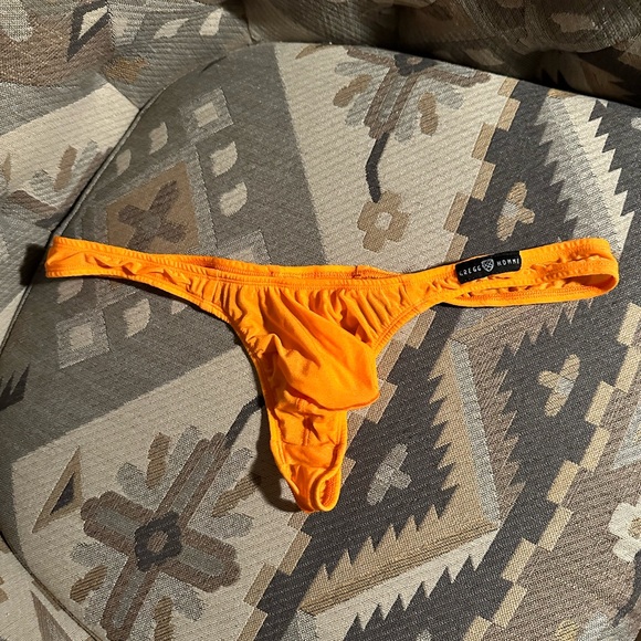 Gregg Homme | Underwear & Socks | Gregg Homme Mens Thong Underwear ...